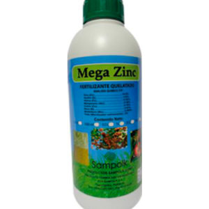 Mega Raíz | Sampolk Corporation