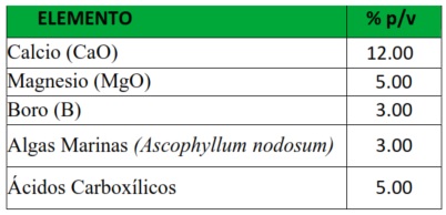 Mega Calcio Plus – Sampolk Corporation